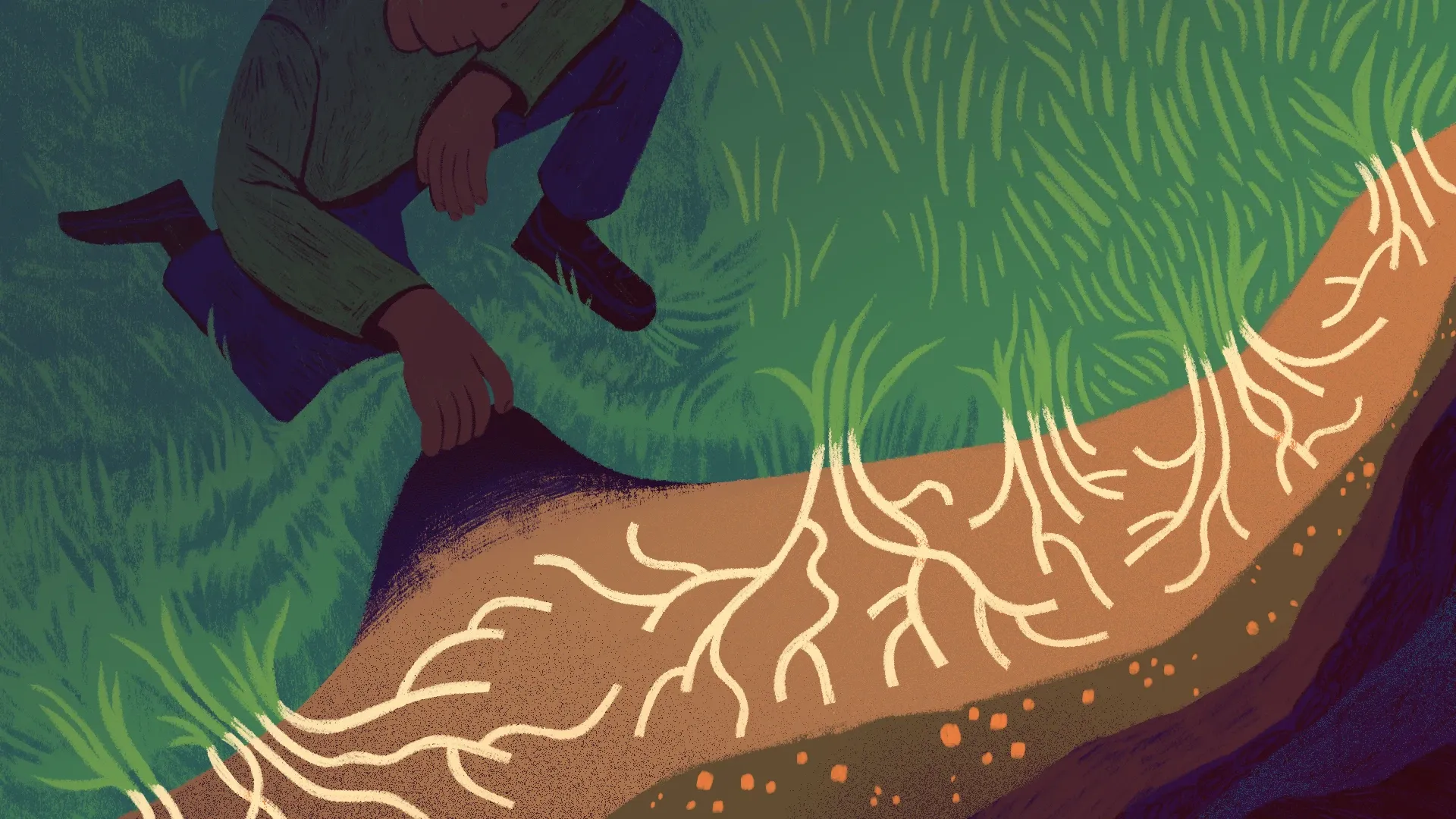 Why Soil Matters | FoodUnfolded Why Soil Matters | FoodUnfolded